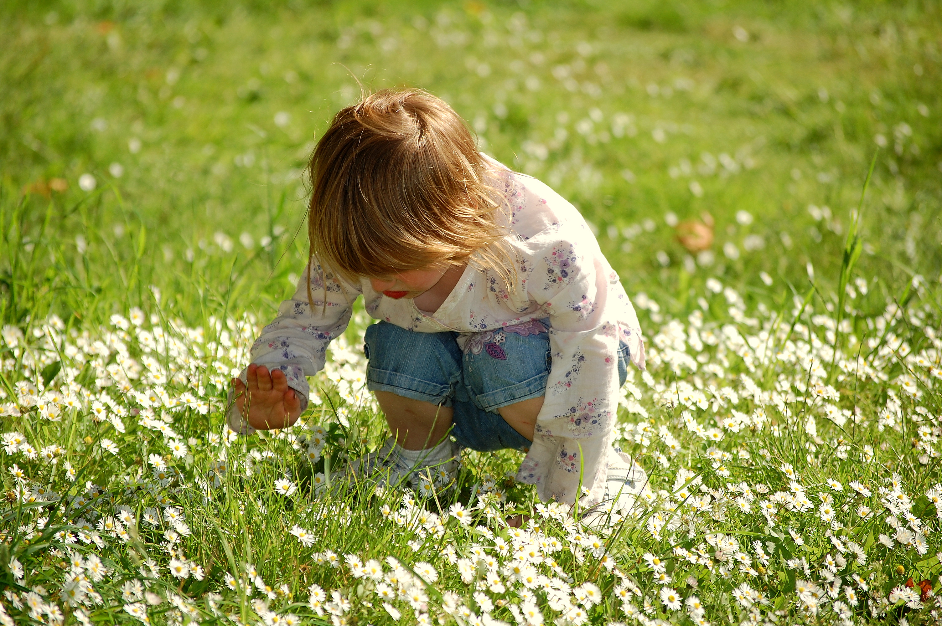 Flowerchild – Quintessentially Quilly